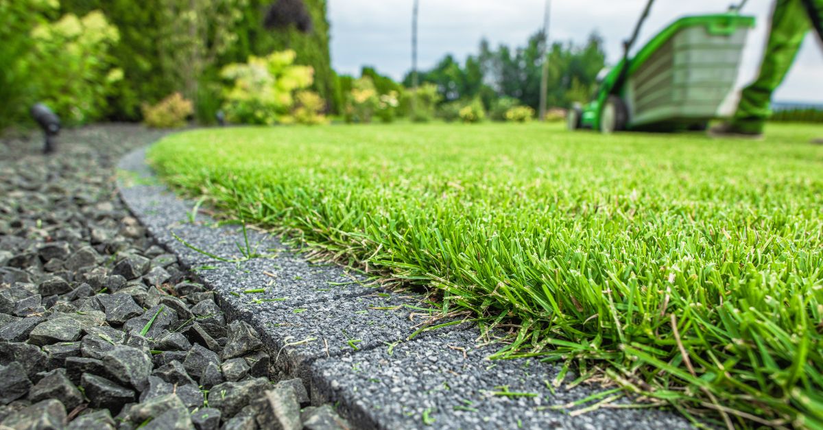 Hoe houd je jouw grasmat groen en gezond? | Blog